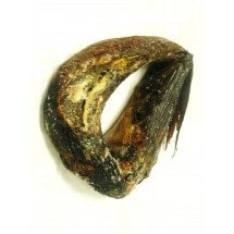 Smoked Kini fish Pre-packaged